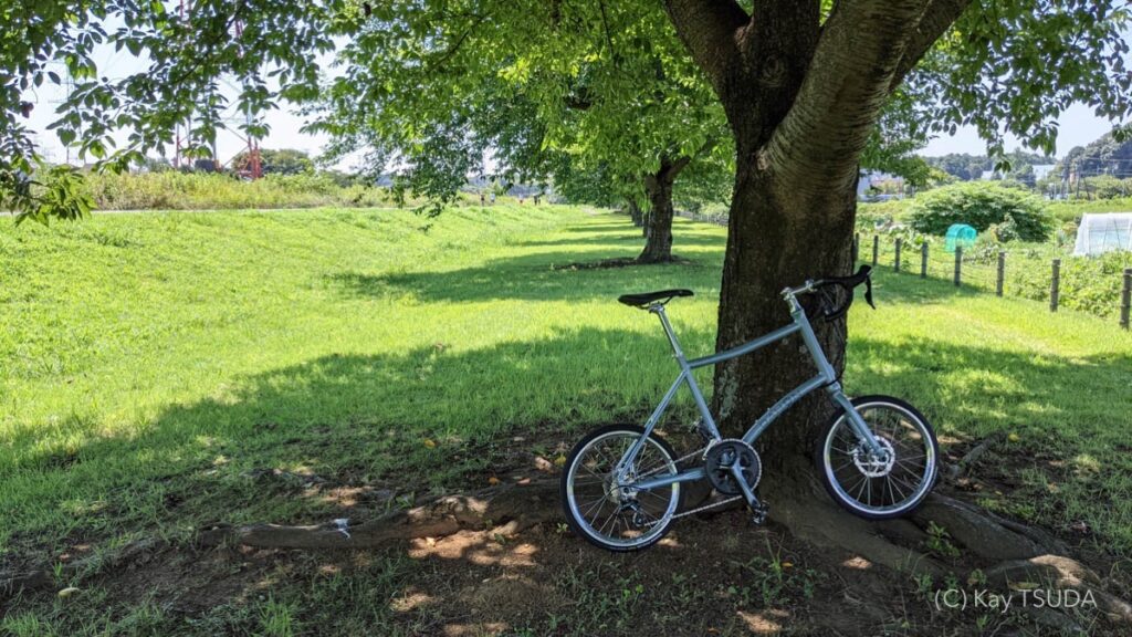 【走行距離3,000km突破！】折りたたみ自転車Tyrell IVEのここがマル！ | 自転車でGo.com